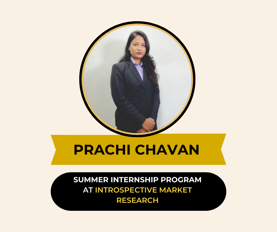 Summer Internship Program – MIMA