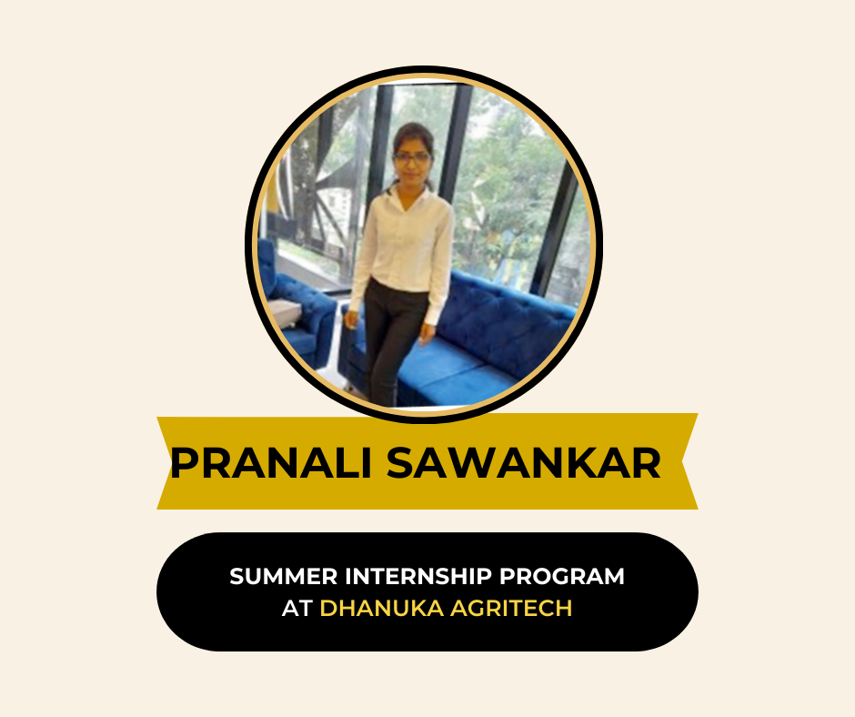 Summer Internship Program – MIMA